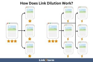 The Different Types of Internal Links (+ Examples) - LinkStorm