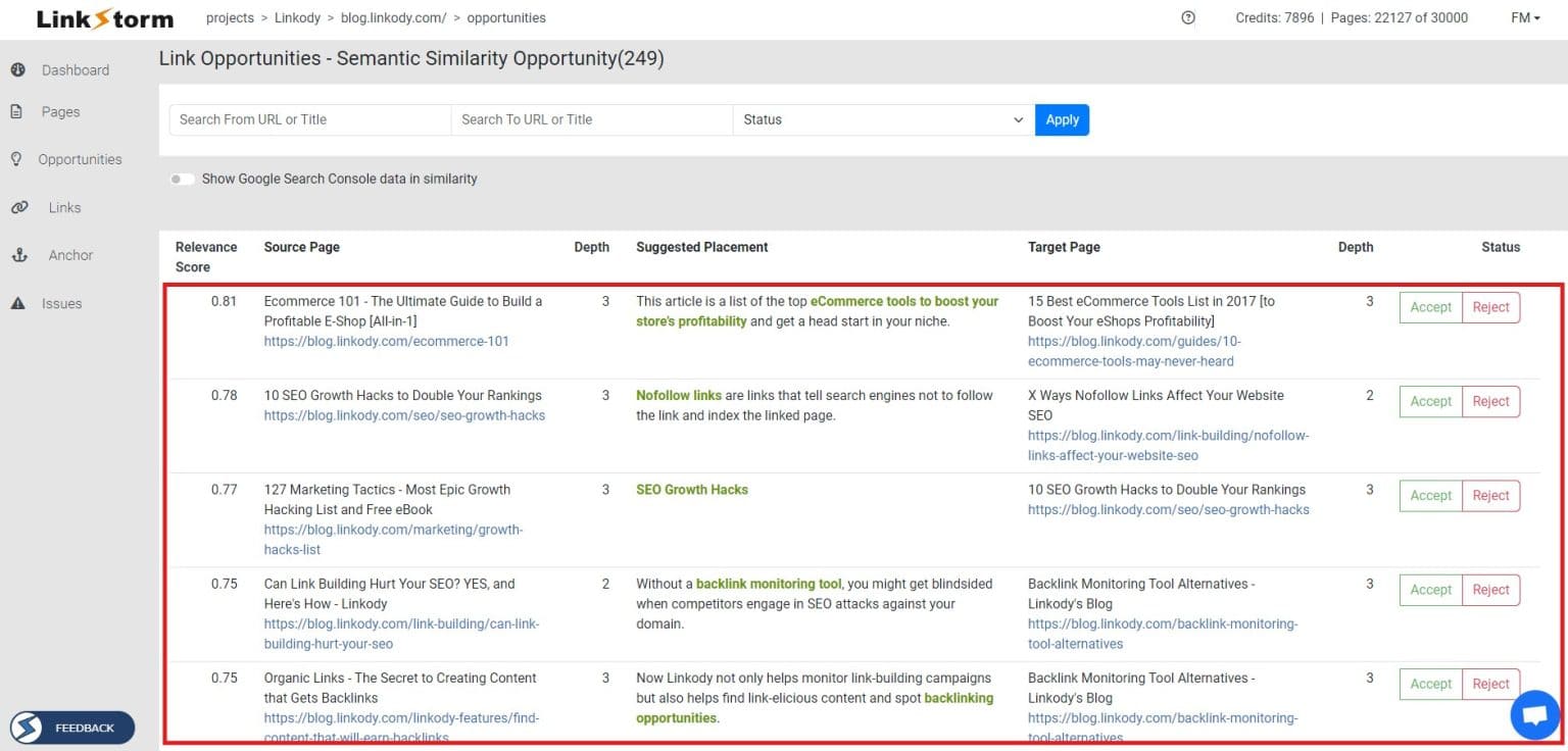 How to Conduct Internal Link Analysis in 2024? - LinkStorm