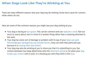 Internal Links vs External Links (vs Other Types of Links) Explained ...