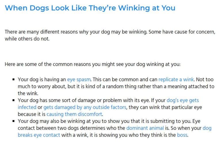 Internal Links vs External Links (vs Other Types of Links) Explained ...